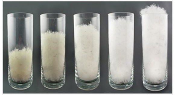 Down vs Synthetic Insulation: What You Need to Know – Field Notes by ...